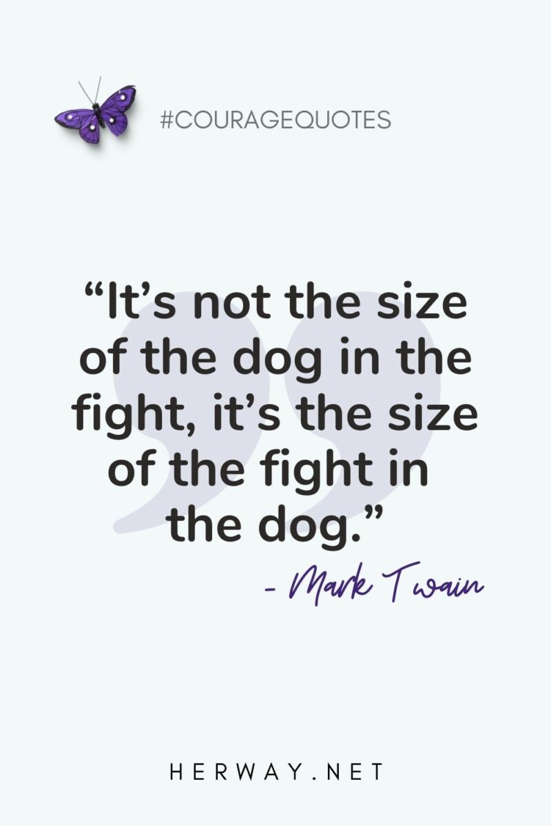 200+ Courage Quotes That Will Inspire You Boost Your Confidence