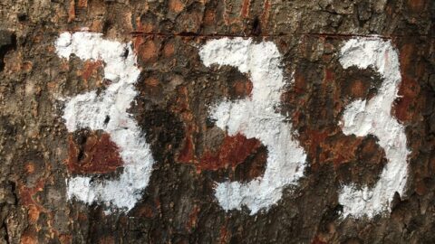 333 Meaning And 7 Reasons You Keep Seeing This Angel Number