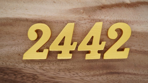 2442 Angel Number And 10 Reasons Why You Keep Seeing It