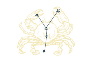 June Cancer Vs. July Cancer: Differences And Similarities