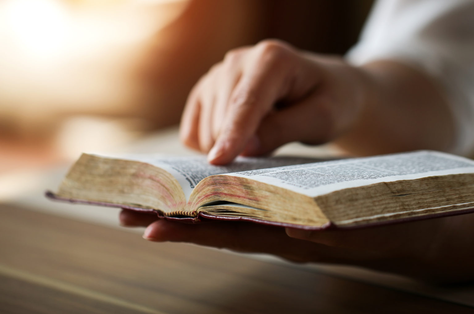 133 Best Proverbs Verses In The Bible That Will Transform Your Life