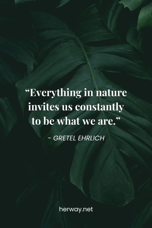 83 Nature Healing Quotes To Inspire You To Spend More Time Outdoors