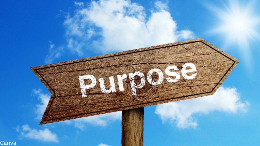 12 Zodiac Signs: What Is Each Sign's Life Purpose?