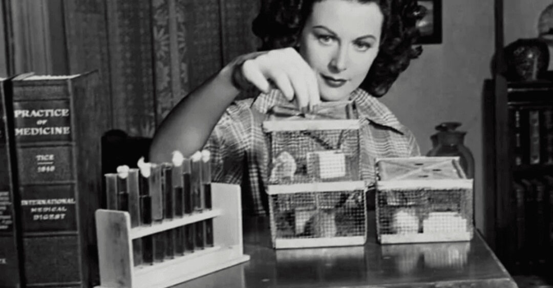 30 Things You Didn't Know Were Invented by Women