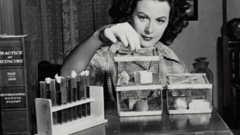 30 Things You Didn't Know Were Invented by Women