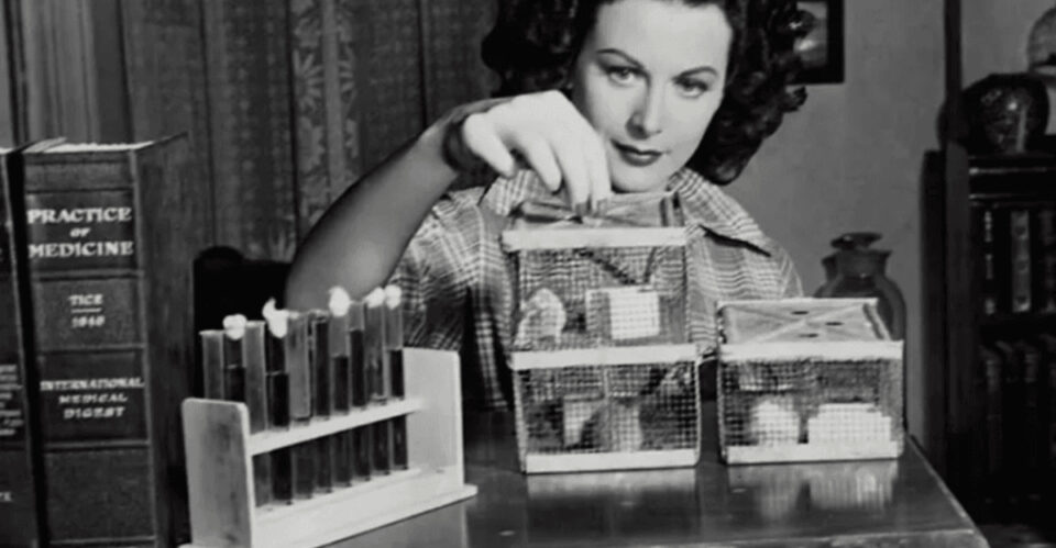 30 Things You Didn't Know Were Invented by Women